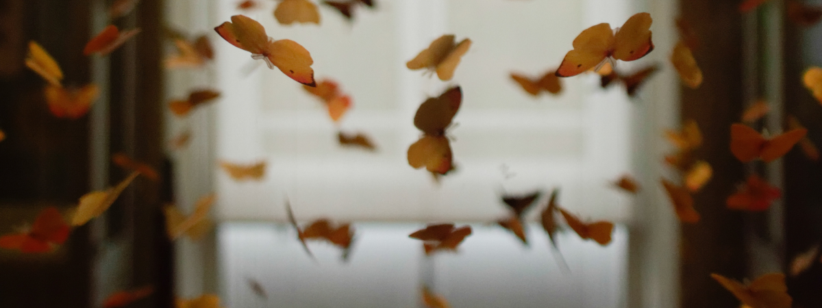 Tak, for de ting og værktøjer jeg har lært! - Peer-Partnerskabet